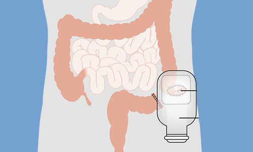 Blog – BIOJOR S.R.L.